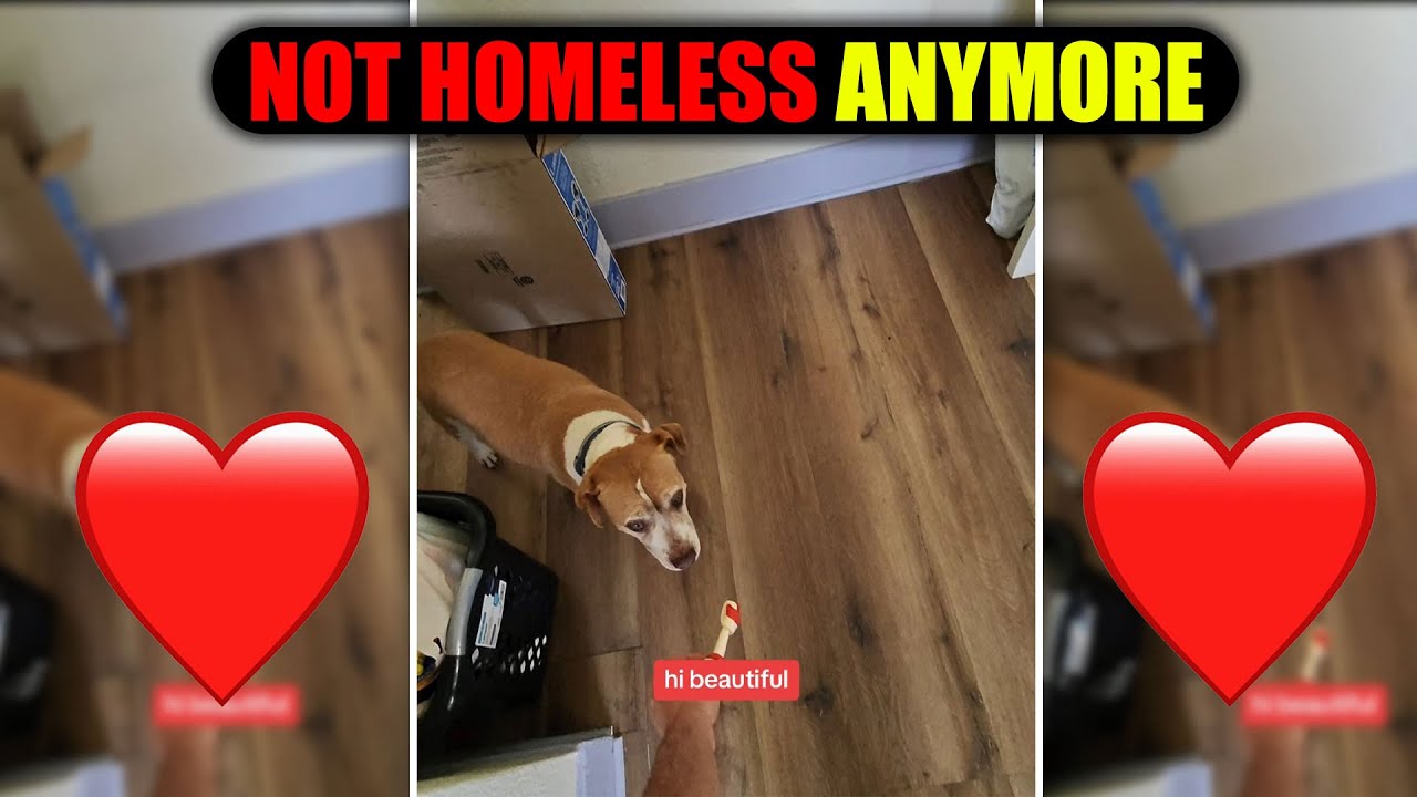 NOT HOMELESS ANYMORE| Beautiful Story - YouTube