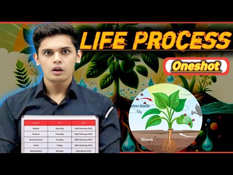 Life Processes class 10 Full Explanation | One Shot revision Hindi ...