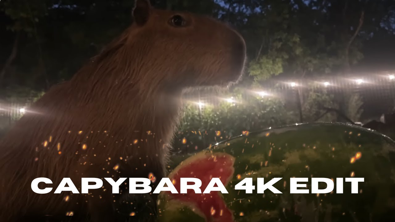 Capybara Smooth Aggressive Shake Edit (4K) - YouTube