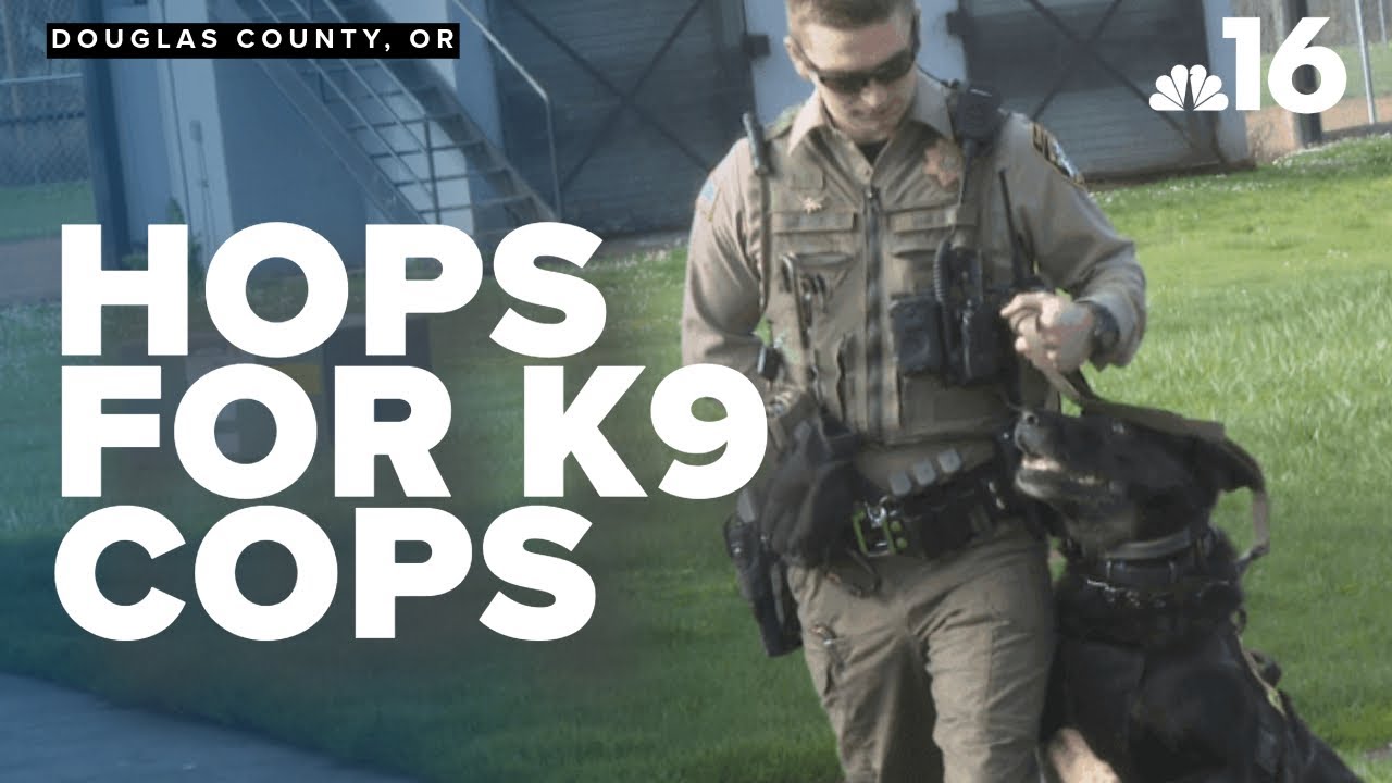 Hops for K9 Cops: Raising Money for K9 Resources - YouTube