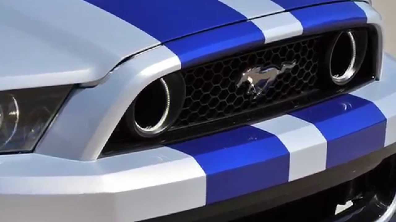 Ford Mustangs Run Wild - Official Trailer - YouTube