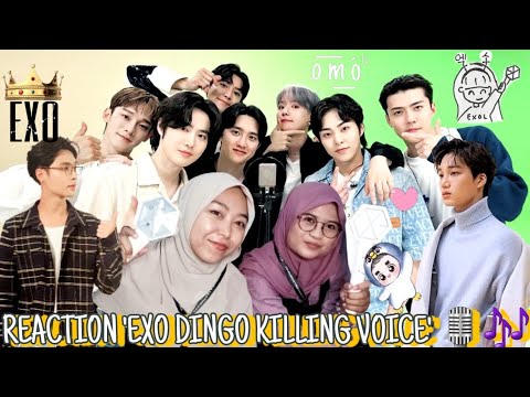 REACTION EXO KILLING VOICE | KING OF KPOP | KING OF VOCAL | EXO's ...
