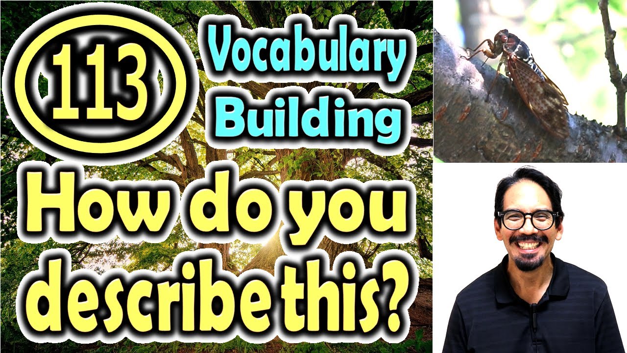 How do you describe this?(113) (Vocabulary Building) [ ForB English ...