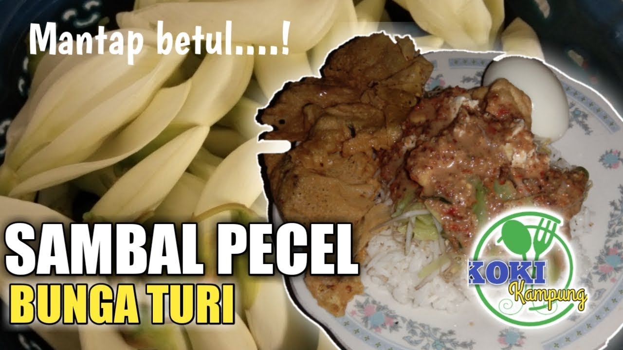 SAMBAL PECEL BUNGA TURI |Ala koki kampung mantap betul...! - YouTube