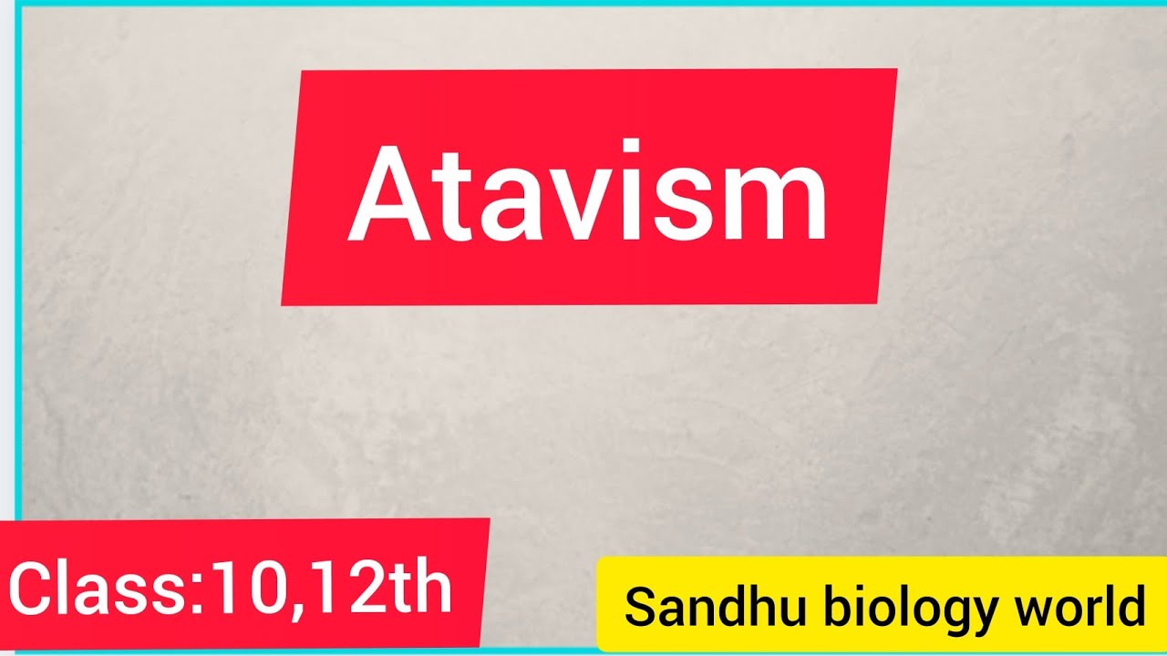 ATAVISM#class12 #atavism - YouTube