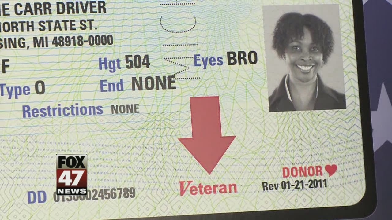Michigan Driver's License Types: What's Your 'O' Code Secret ...