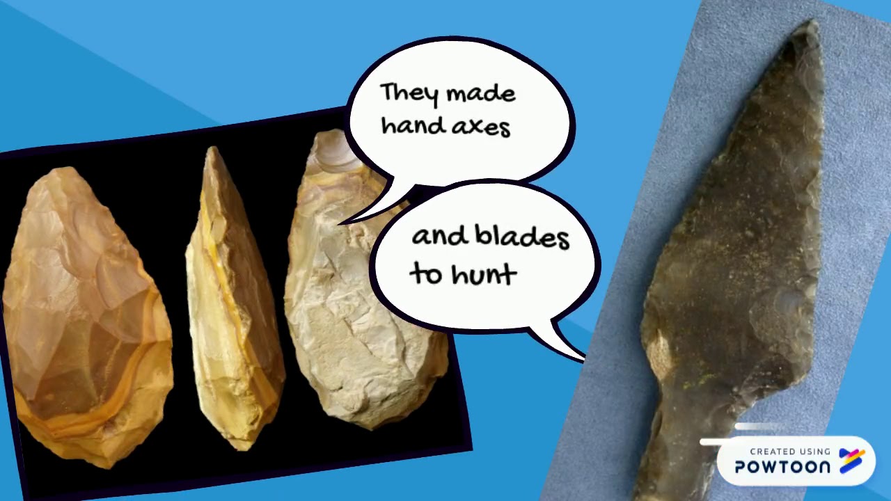 Copy of Homo sapiens(Cro- Magnon)) - YouTube