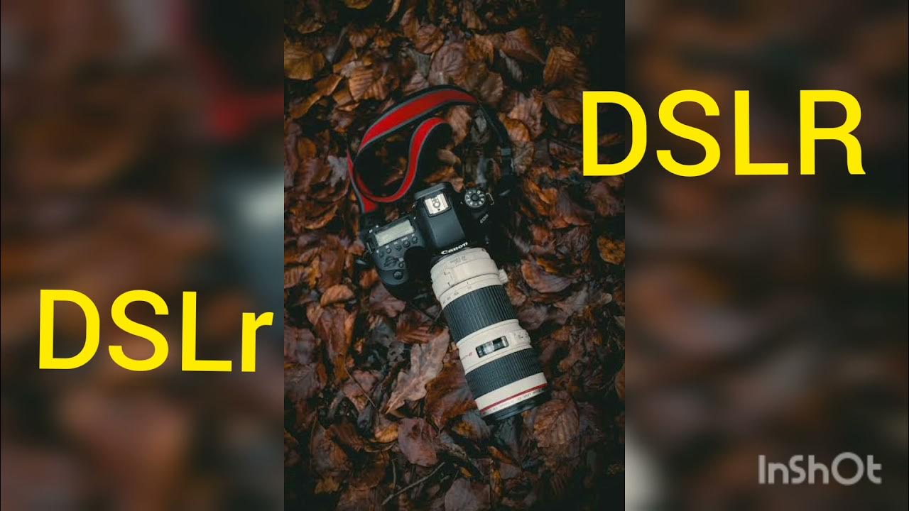 Full Form Of DSLR Ll Photography Ll dslr Ll camera YouTube full-form-of-dslr-ll-photography-ll-dslr-ll-camera-youtube