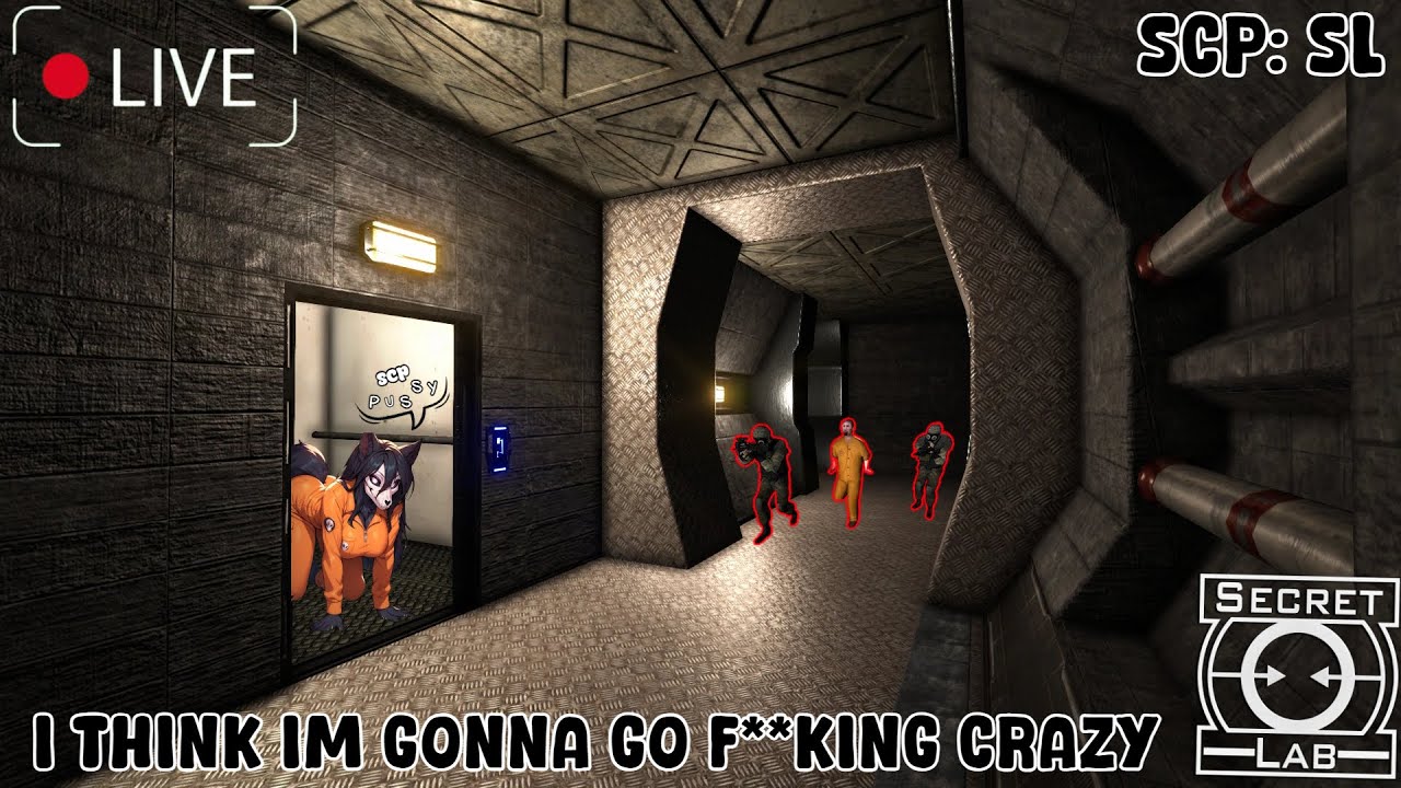 Crazy Gathering With Furries | SCP: SL | LIVE - YouTube
