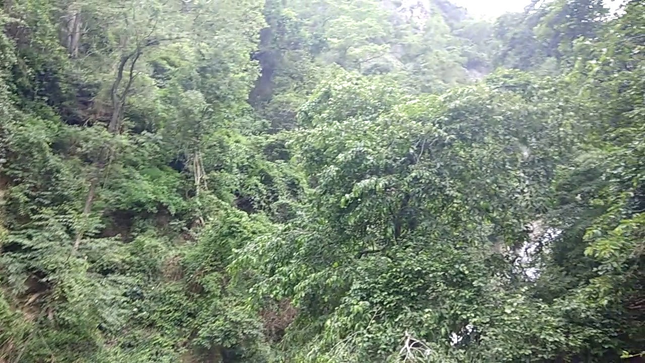 Siruvani waterfalls Coimbatore | second tastiest water in world - YouTube