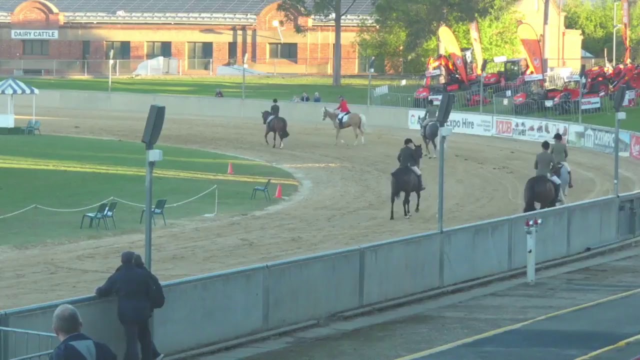 2018 Royal Adelaide Show Main Arena LIVE - Day 5 - YouTube