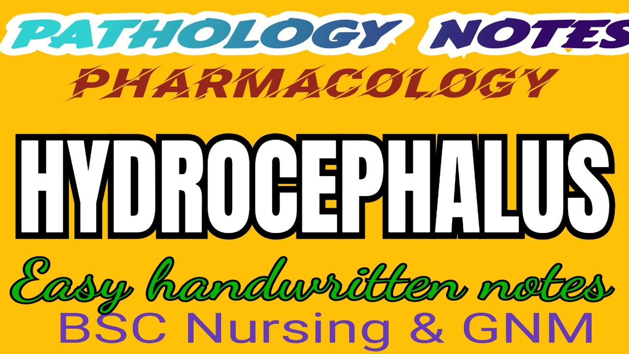 HYDROCEPHALUS, pathology notes, bsc nursing - YouTube