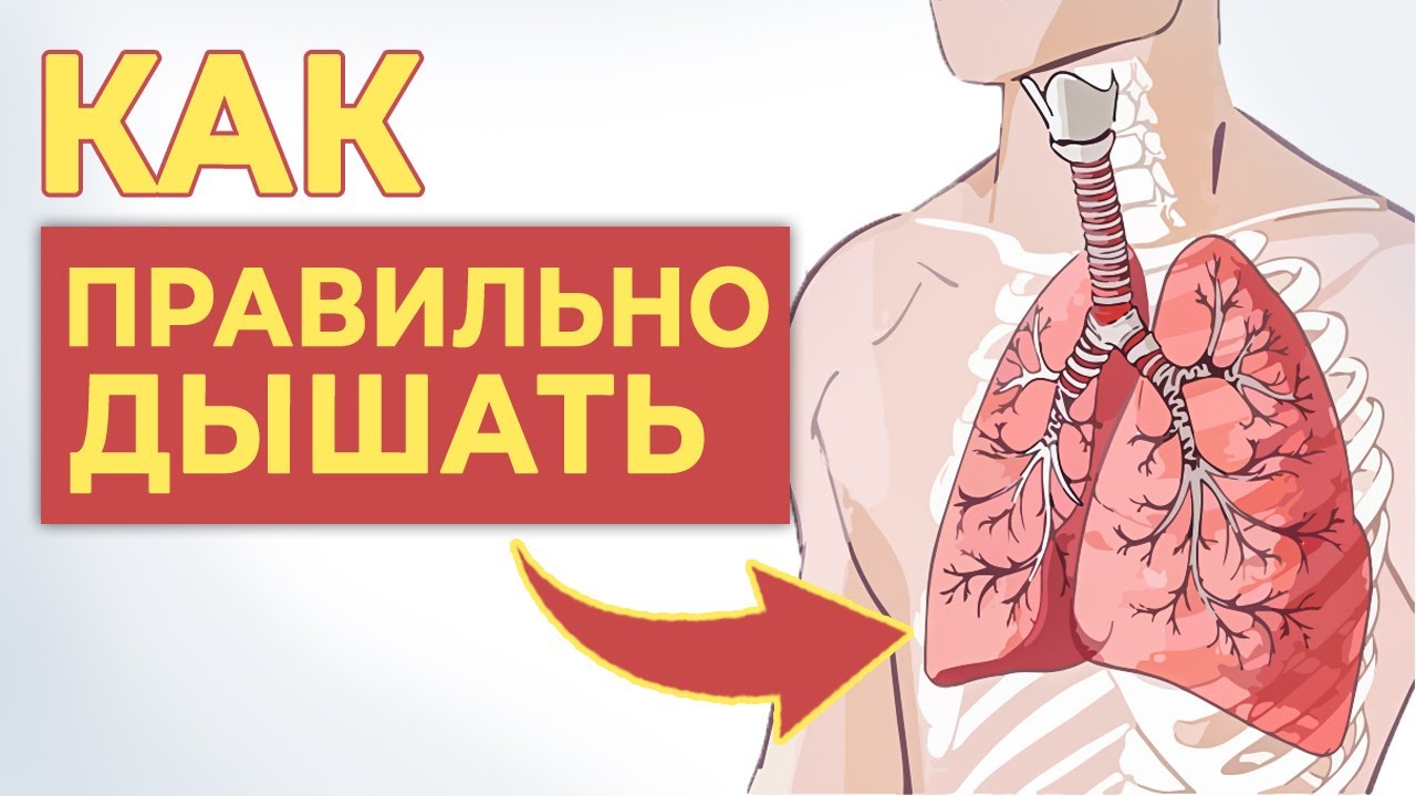 Как правильно ДЫШАТЬ чтобы НИЧЕГО НЕ БОЛЕЛО Секреты правильного