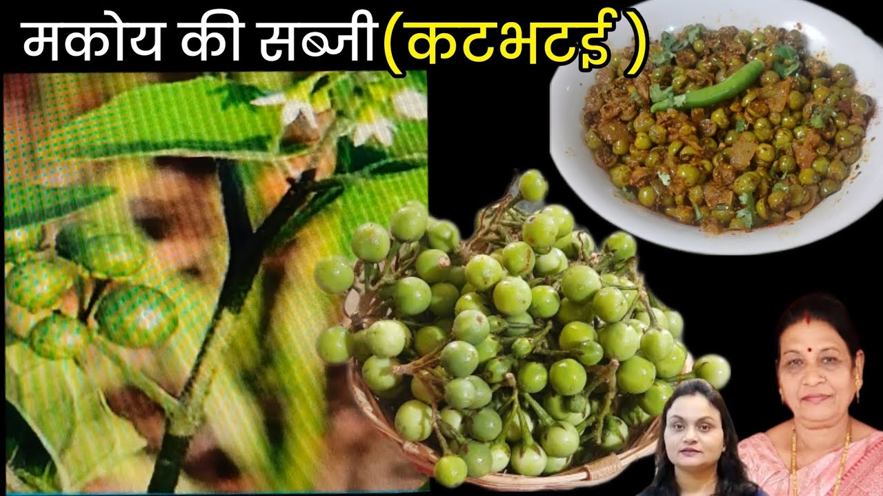 Makoy Ki Sabji। मकोय की सब्जी। Makoy Ki Bhaji।Bhatkoiya Ki Sabji ...