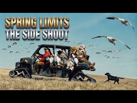 Snow Goose Hunting -  Setting Up Smart