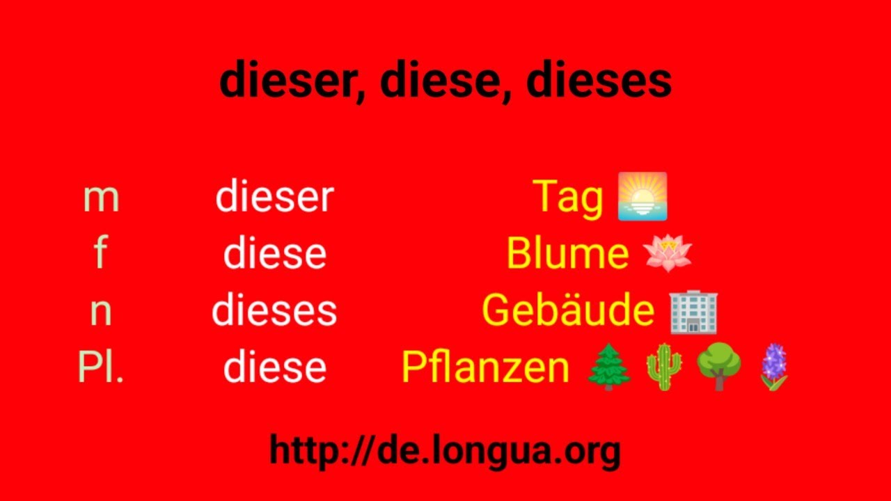 Deutsch - dieser, diese, dieses, diesen, diesem, jeder, jede, jedes ...