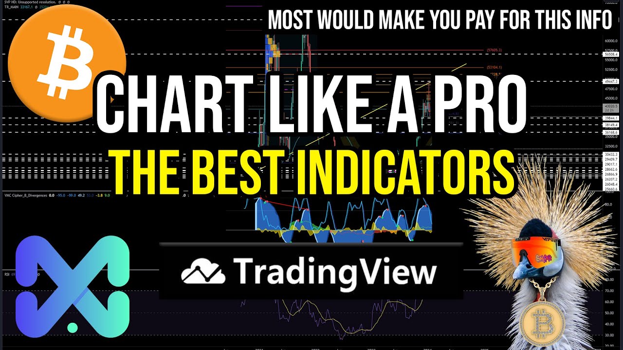 THE BEST INDICATORS FOR TRADING VIEW HANDS DOWN | TRADING SERIES PART 2 ...