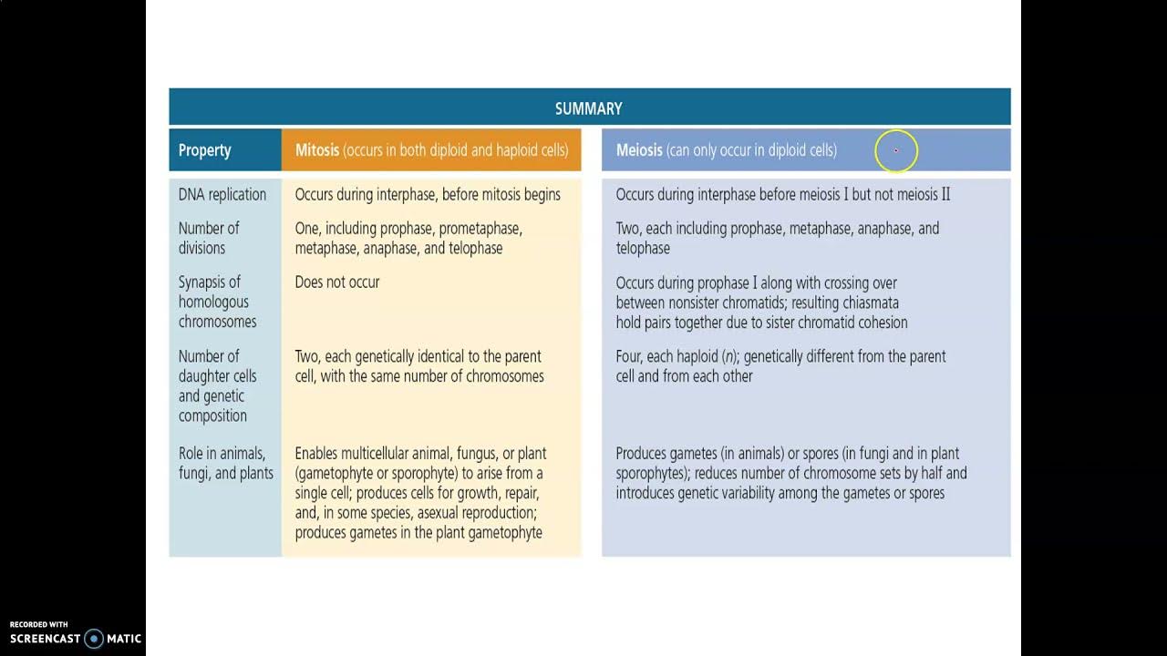 LECTURE CHAPTER 3 PART 10 - YouTube