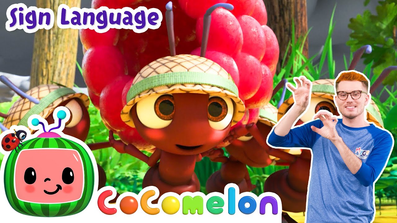 The Ants Go Marching 🐜 | Cocomelon Nursery Rhymes | Learn ASL & Baby ...