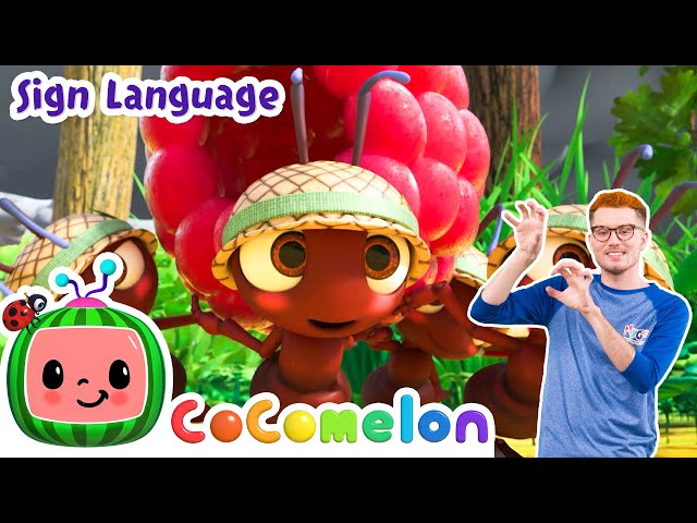 The Ants Go Marching 🐜 | Cocomelon Nursery Rhymes | Learn ASL & Baby ...