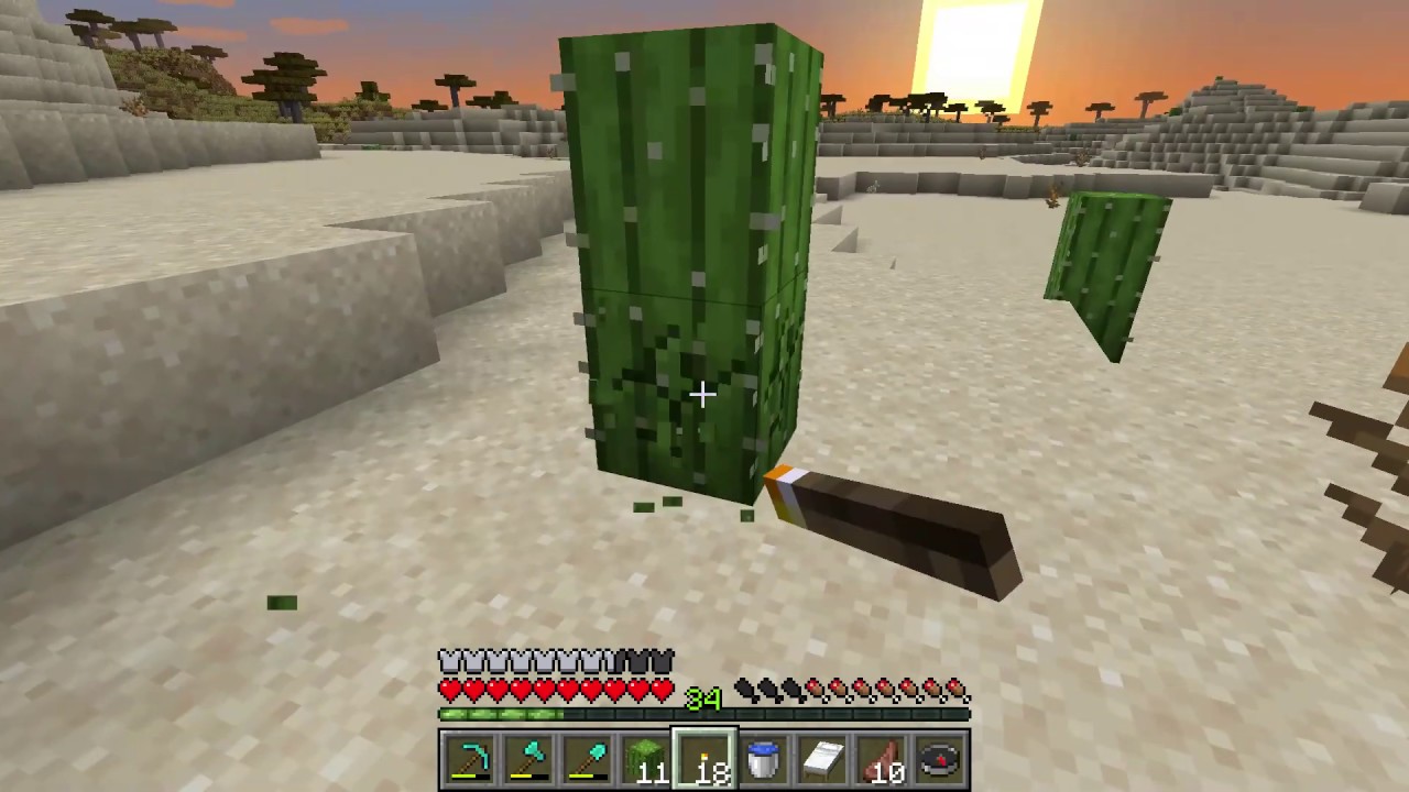 How to get Cactus - Minecraft - YouTube