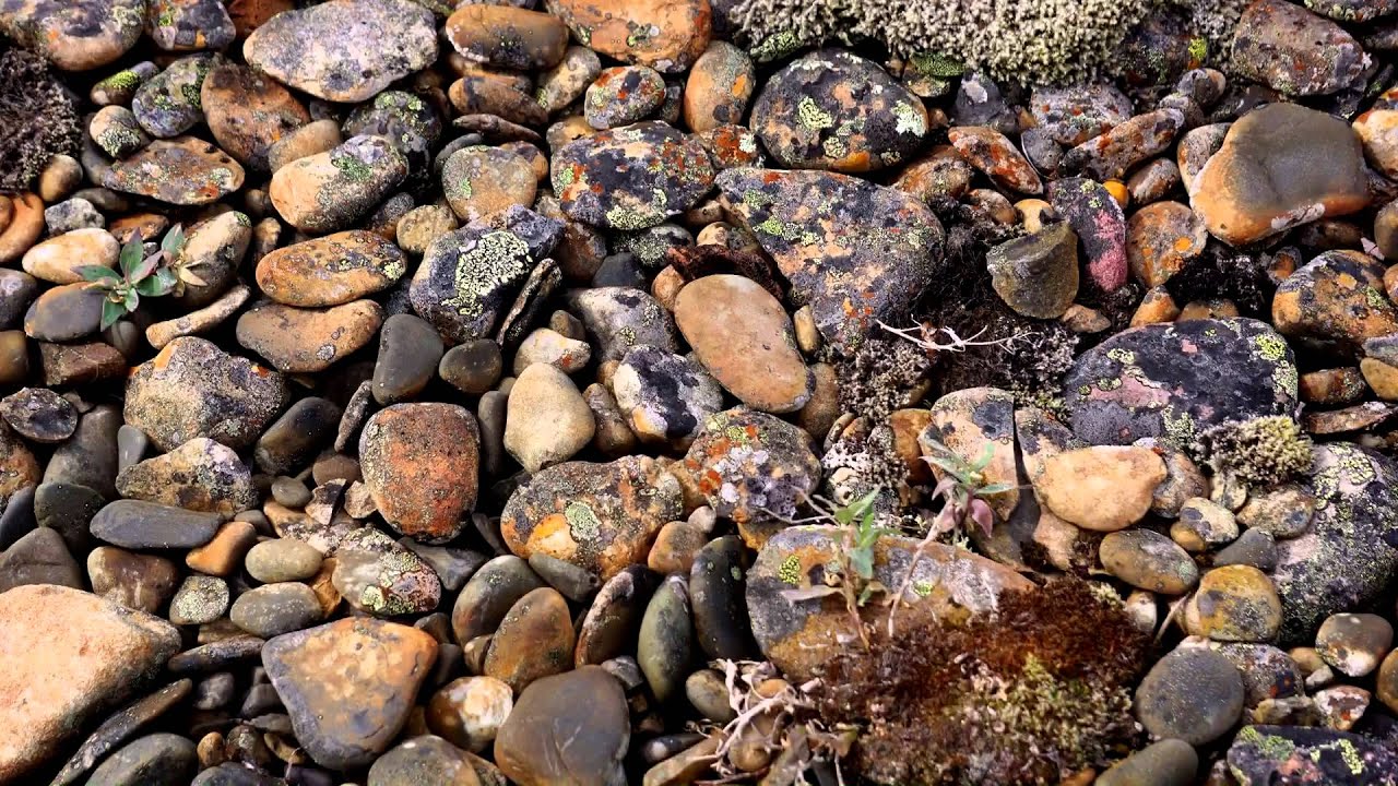 Belcher Islands Raised Beaches - YouTube