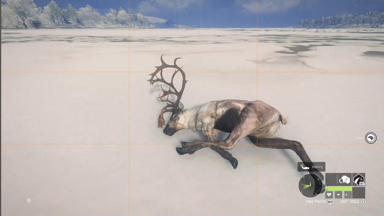 Diamond and Rare Montage #169 /The Hunter Call of the Wild Montage ...