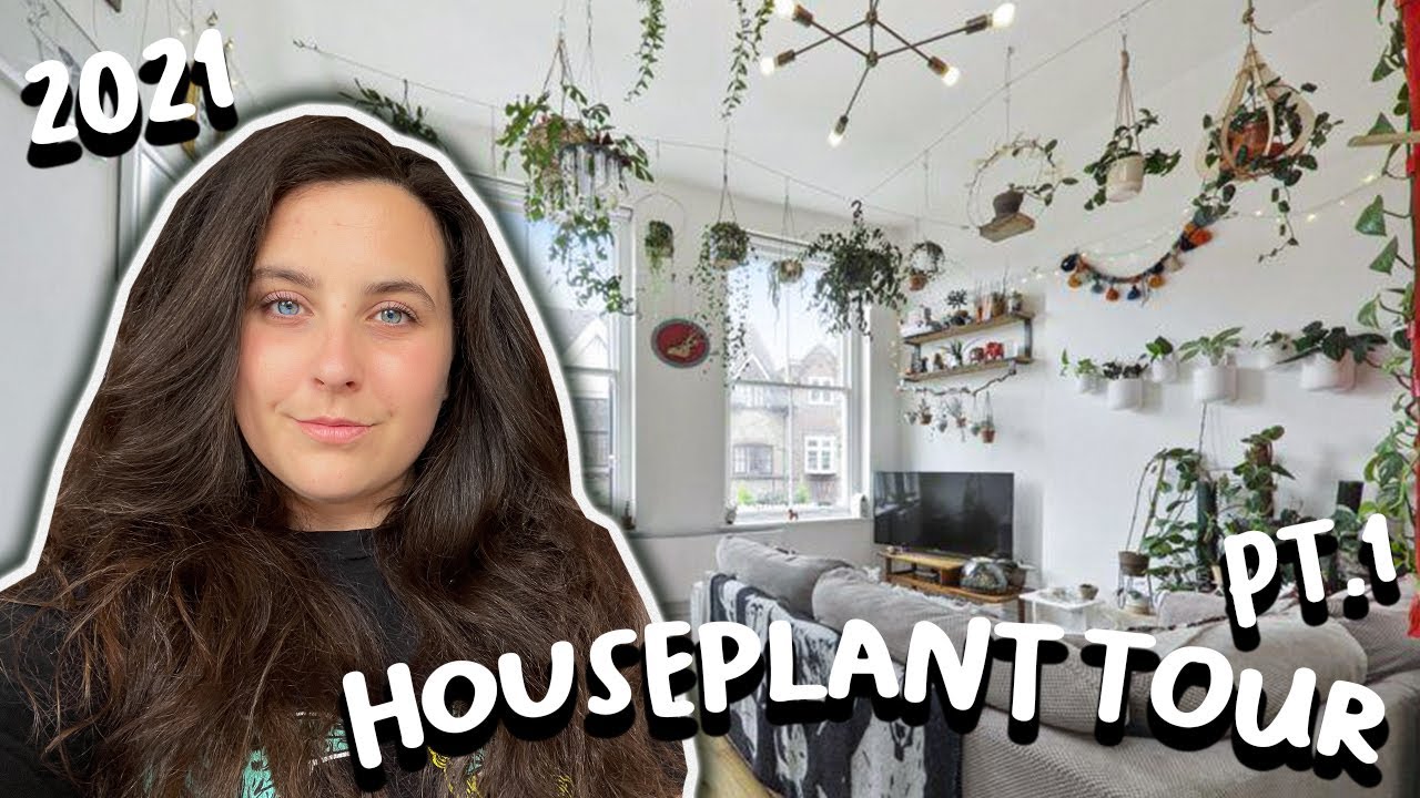 Houseplant Tour Part 1 | Spring 2021 | Rare & Common With Names - YouTube