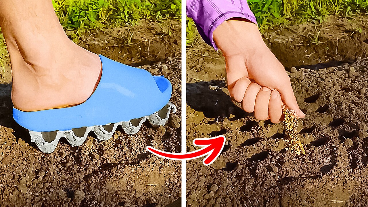 Best Gardening and Farm hacks for your Indoor and Outdoor Plants - YouTube
