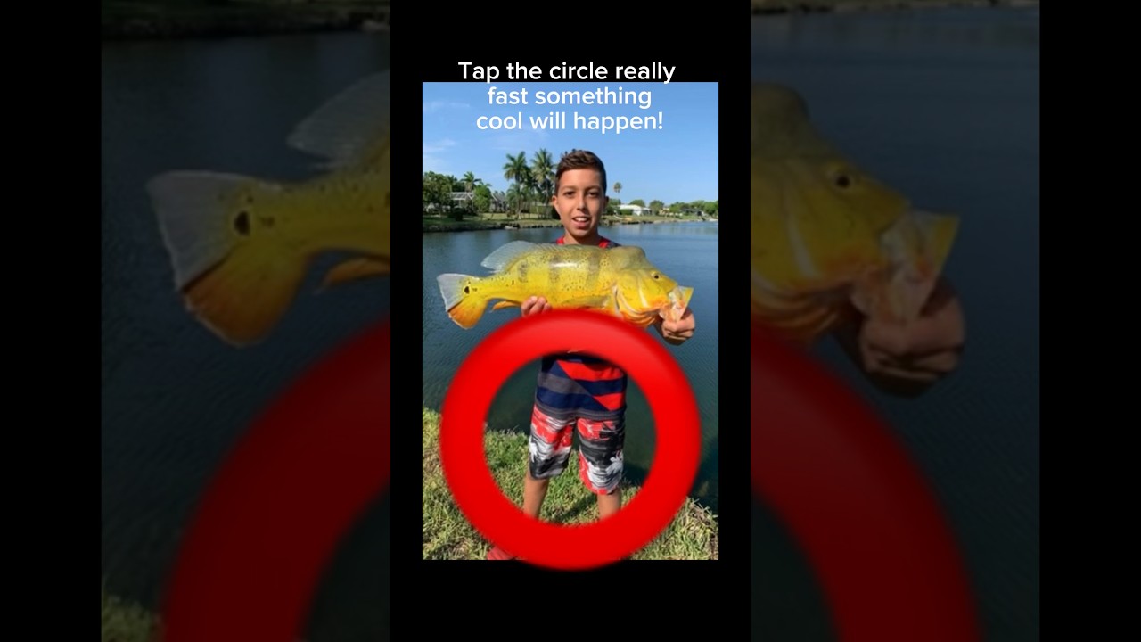 Florida State Record Peacock bass caught in 2020!?😱 #shorts #fishing ...