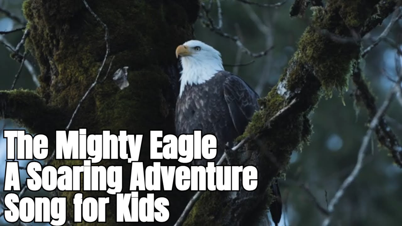 The Mighty Eagle A Soaring Adventure Song for Kids! - YouTube