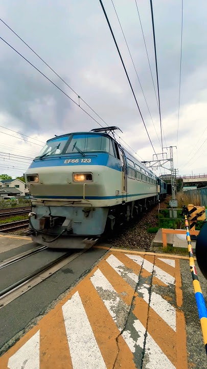 2025年4月23日8865レJR貨物EF66 123+ムドEF64 1025#8865レ #ef66123 #ef641025 #代走 #ef66 #貨物列車 #電気機関車 - YouTube