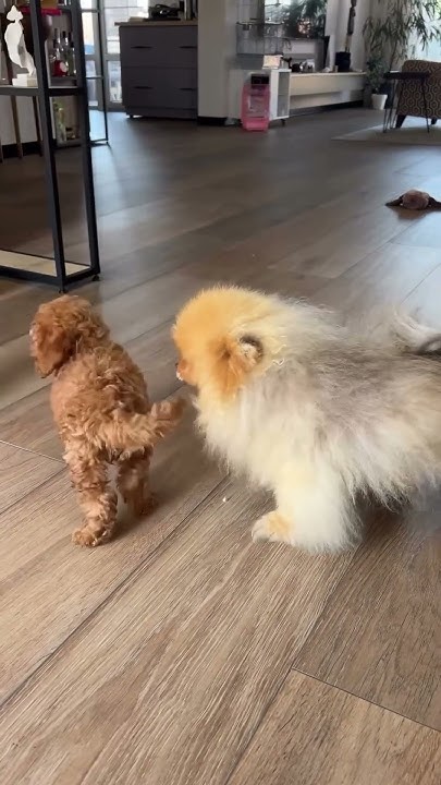 Добро пожаловать в семью, малыш ️‍🔥 - YouTube