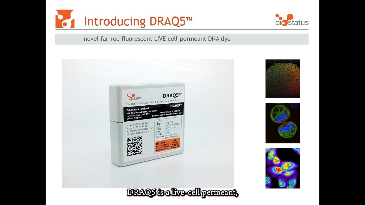 DRAQ5™ 細胞膜透過性 近赤外蛍光核染色試薬のご紹介 - YouTube