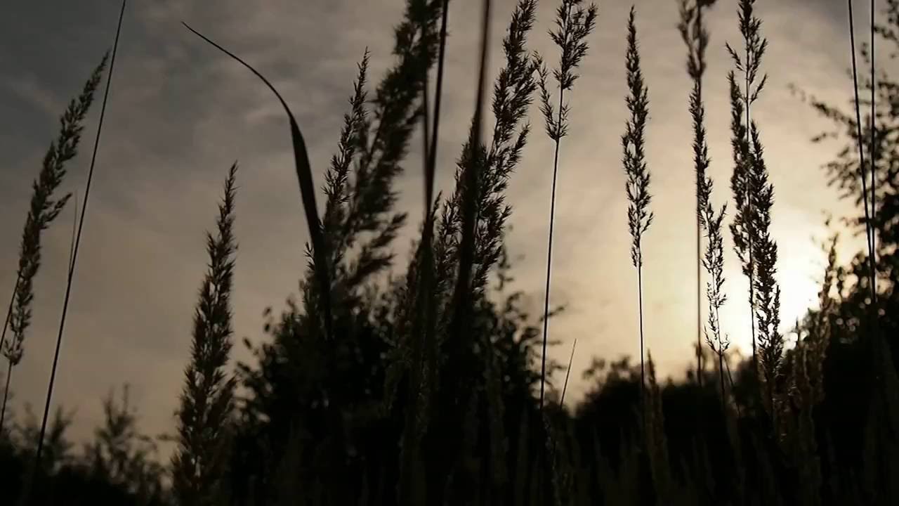 Olympus E-PL6 Test Video