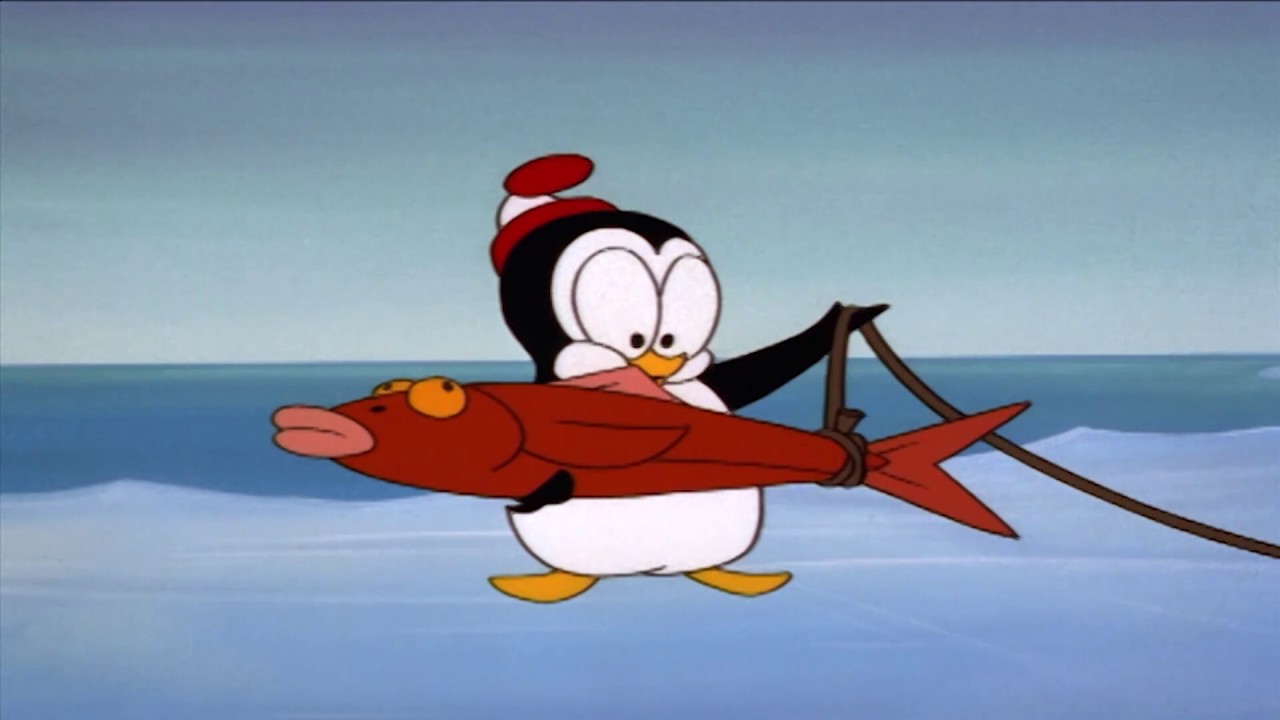 Picolino em Português 🐧Programa De TV 🐧Episódios completos - YouTube