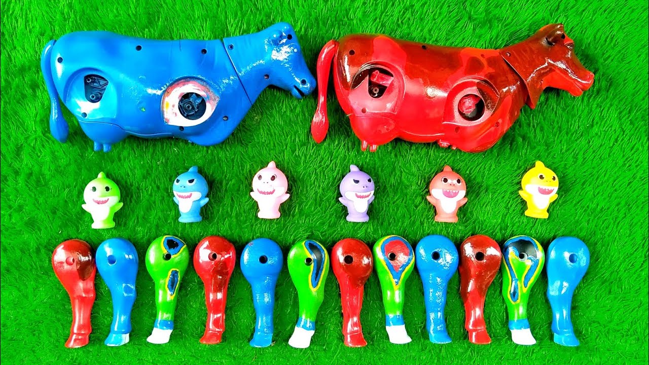 ASMR ANIMAL! Sapi warna merah, Sapi warna biru, Sapi moo, Sapi lucu ...