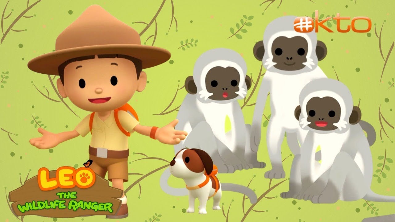 Leo the Wildlife Ranger | HOW NAUGHTY MONKEYS STEAL FOOD🐒 |Full Episode ...