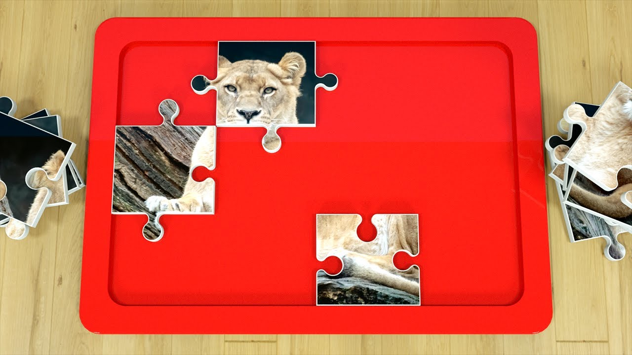 Learn Animals with Colorful Puzzle, Tiger, Bear, Rabbit, Bird - YouTube