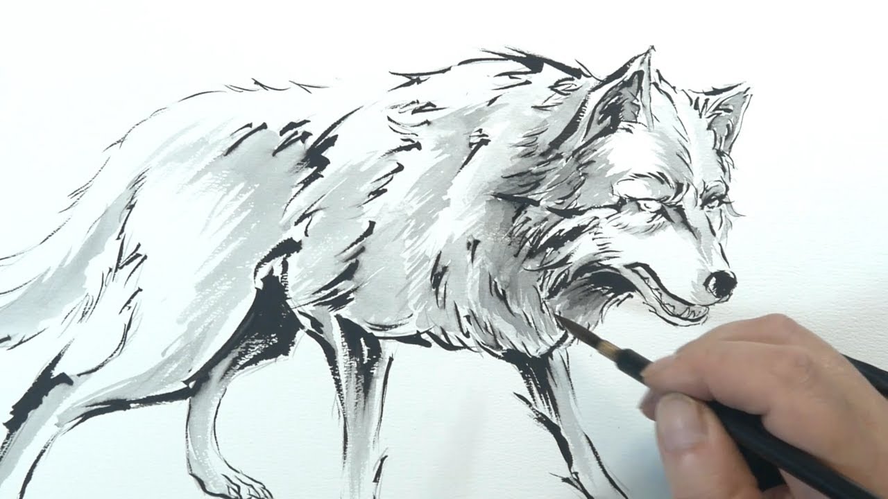 [WAW_005] focus on (Drawing Wolf in ink painting) - YouTube