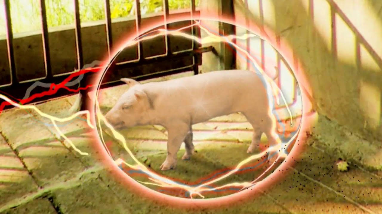 Apralyte "Spidey" TVC 30s - YouTube