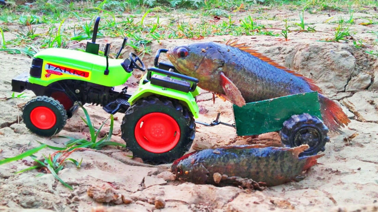 Mahindra Tractor Fish Helping | Fish Helping Video part-15 | Tractor ...