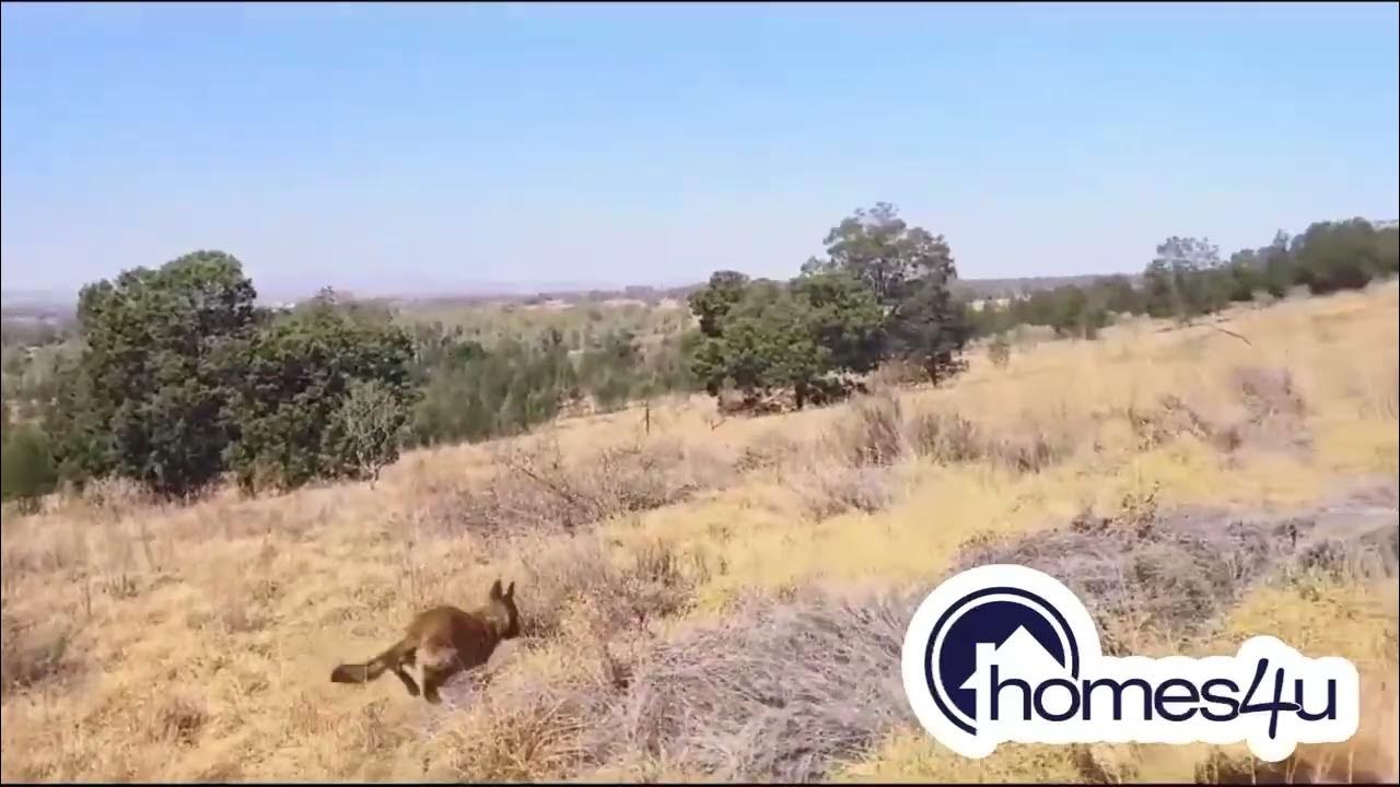 Homes4U Tranquility unevend - YouTube