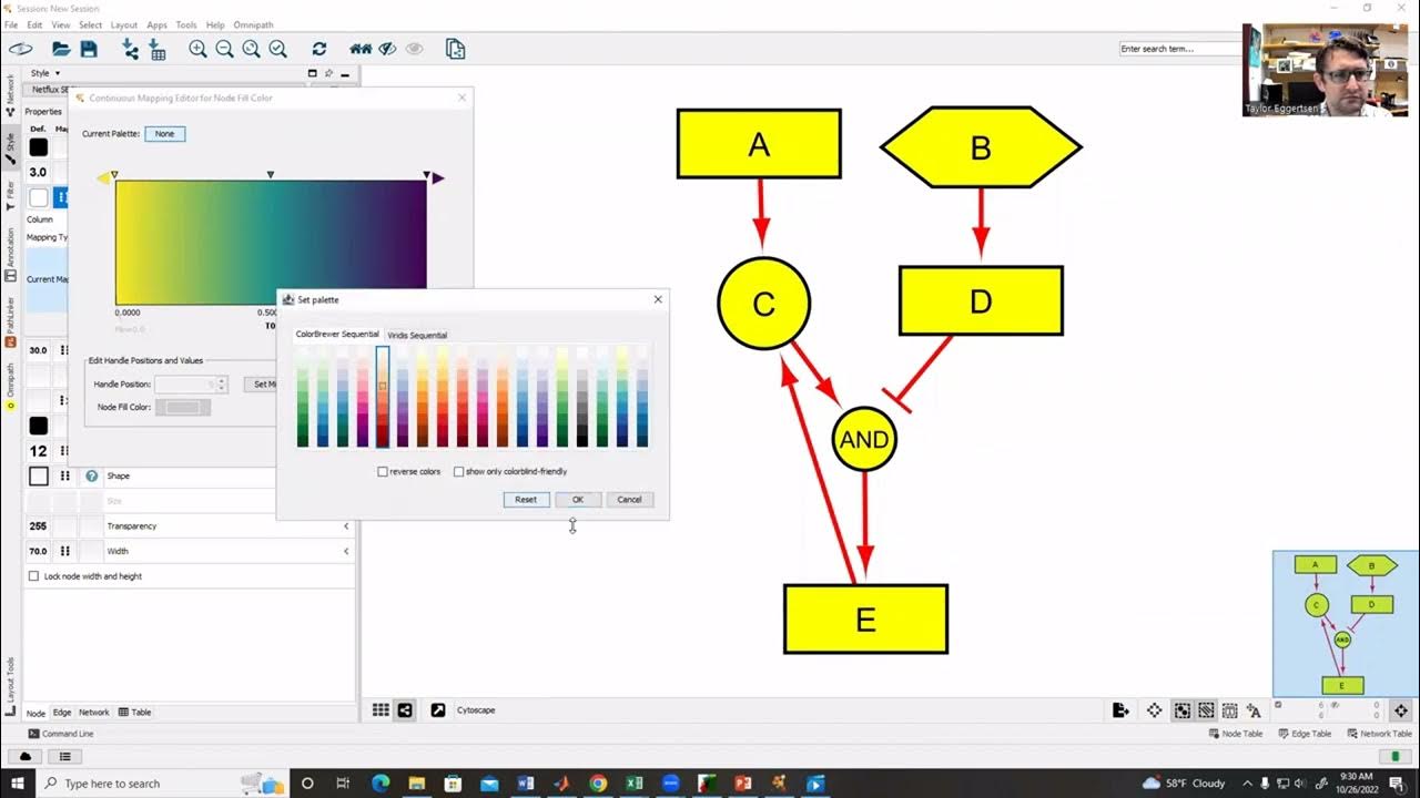 Netflux tutorial: Visualization with Cytoscape - YouTube