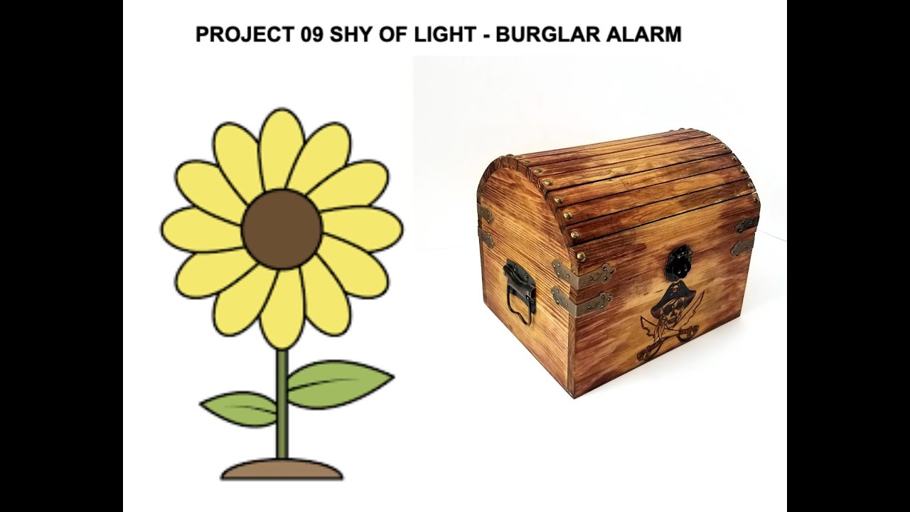 LEVEL 09 BURGLAR ALARM - ‎SCHKIT02-08-PC - School Science Educational ...
