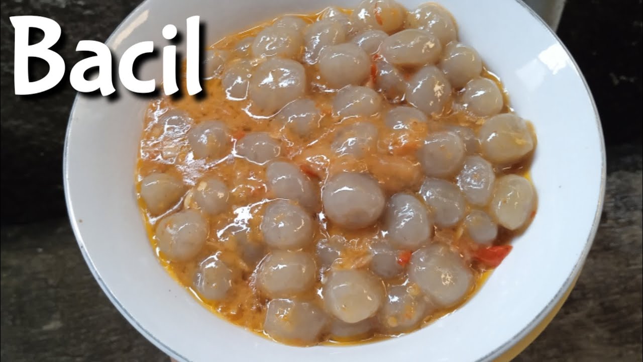 Cara Membuat Bacil Yang Enak - YouTube