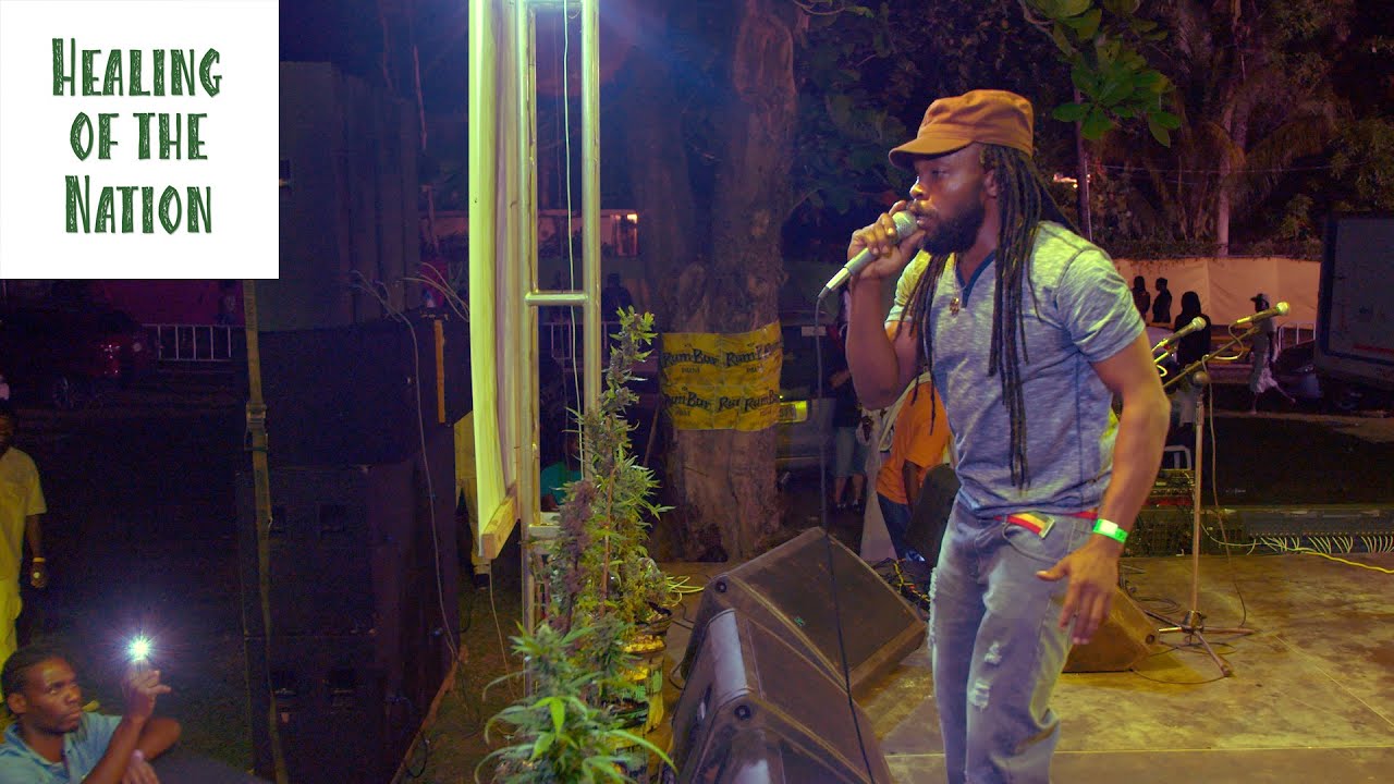 Stepping High Ganja Festival 2015 - Bushman - Bush Doctor - YouTube