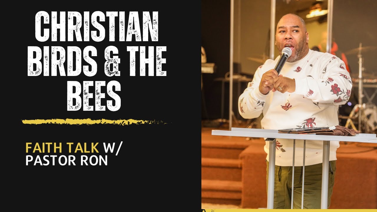 Christian Birds and Bees - YouTube