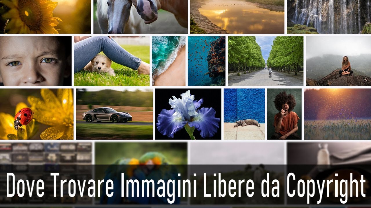 Dove trovare IMMAGINI GRATUITE, LIBERE DA COPYRIGHT per uso COMMERCIALE ...