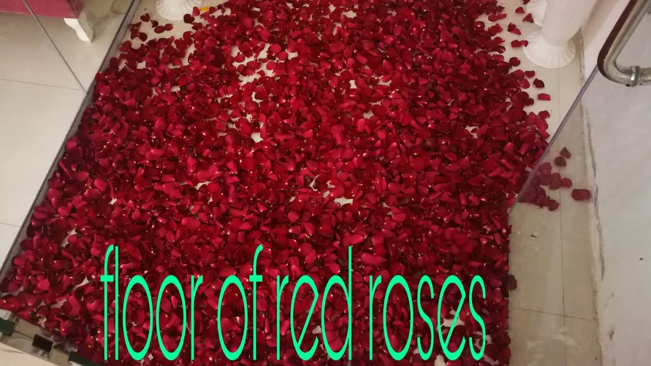 Floor of red roses - YouTube